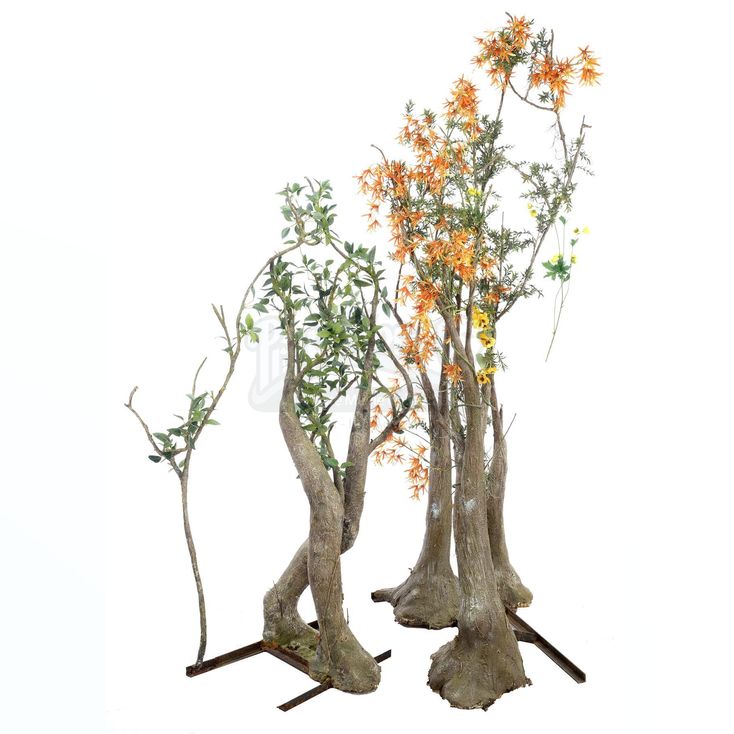 Lot 25 ANNIHILATION - Two Stand-In Human Shaped Trees | ANNIHILATION (2018)
