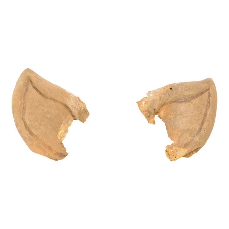 Lot #367 - STAR TREK: THE ORIGINAL SERIES (1966-1969) - Spock's ...