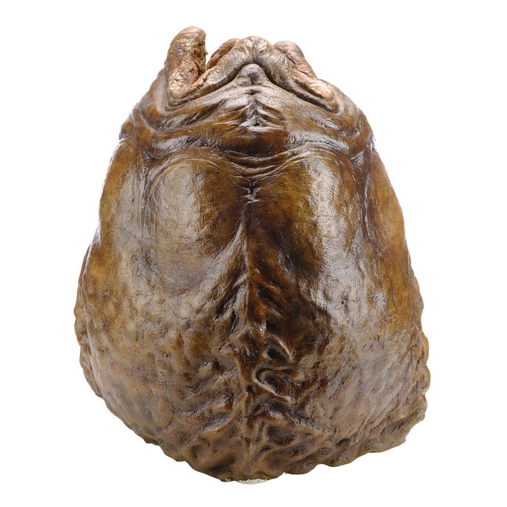 Lot #547 - ALIEN RESURRECTION (1997) - Static Xenomorph Egg