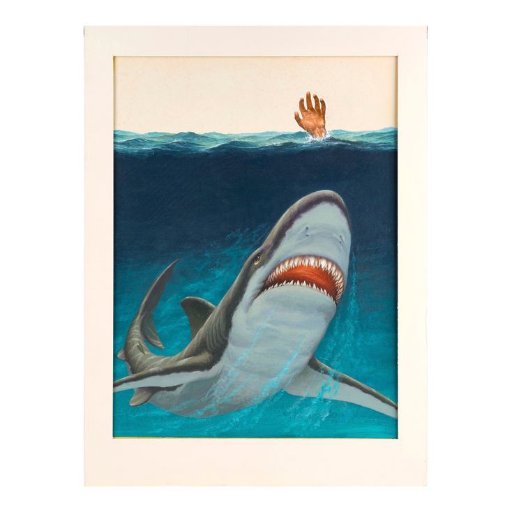 235. Matted Hand-Painted Jack Thurston Poster Artwork | MAKO: THE JAWS ...