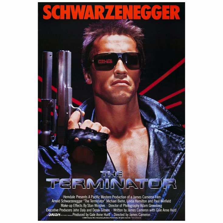 790. THE TERMINATOR (1984) One Sheet (27 x 41) Near Mint Rolled ...