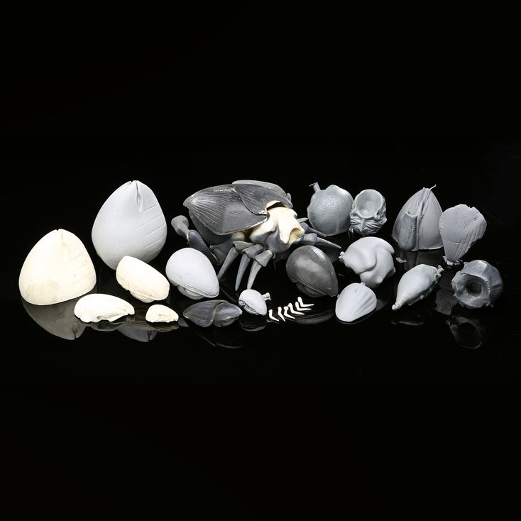 Plasma Bug Maquette and Pieces | STARSHIP TROOPERS (1997)