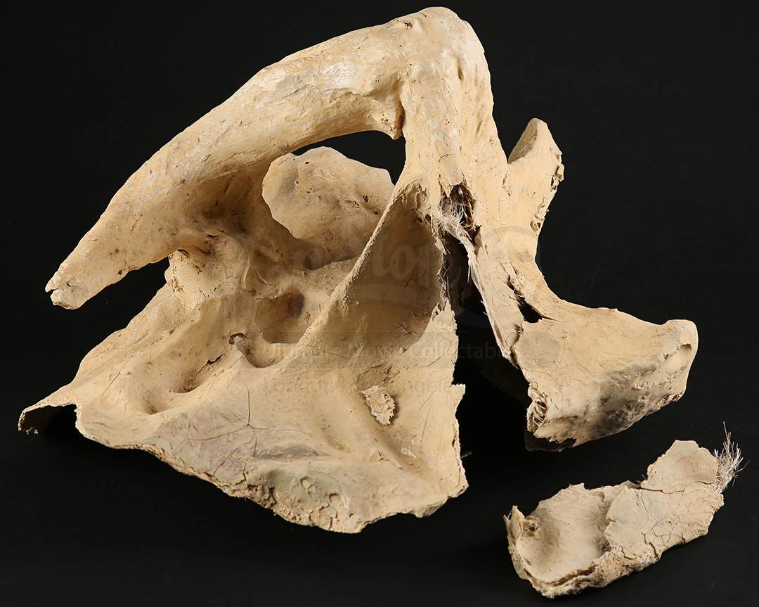 Large Krayt Dragon Spinal Vertebrae | STAR WARS: A NEW HOPE (1977)
