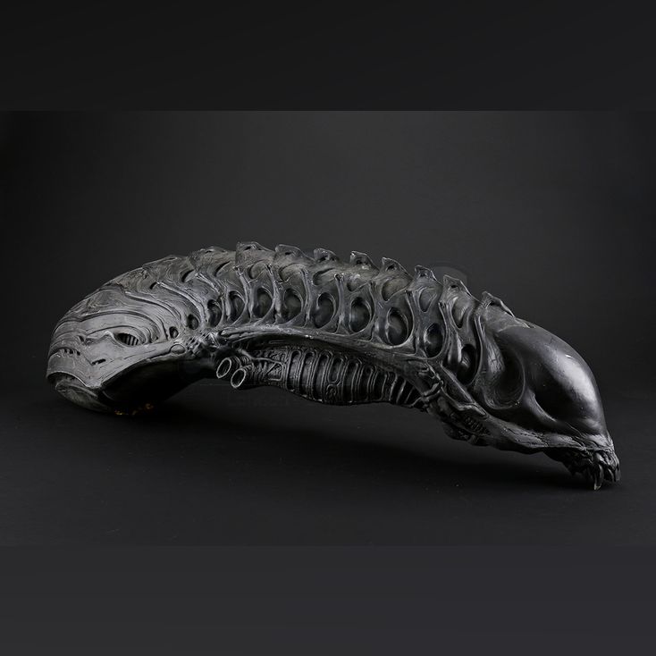 Unfinished Xenomorph Head | AVPR: ALIENS VS. PREDATOR - REQUIEM (2007)