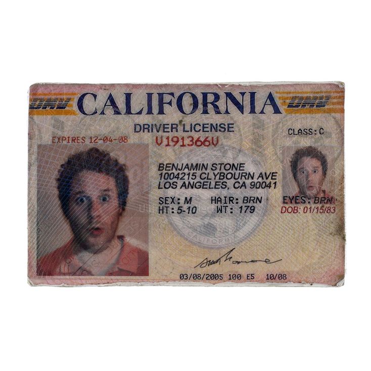 Ben Stones (Seth Rogen) Drivers License | KNOCKED UP (2007)