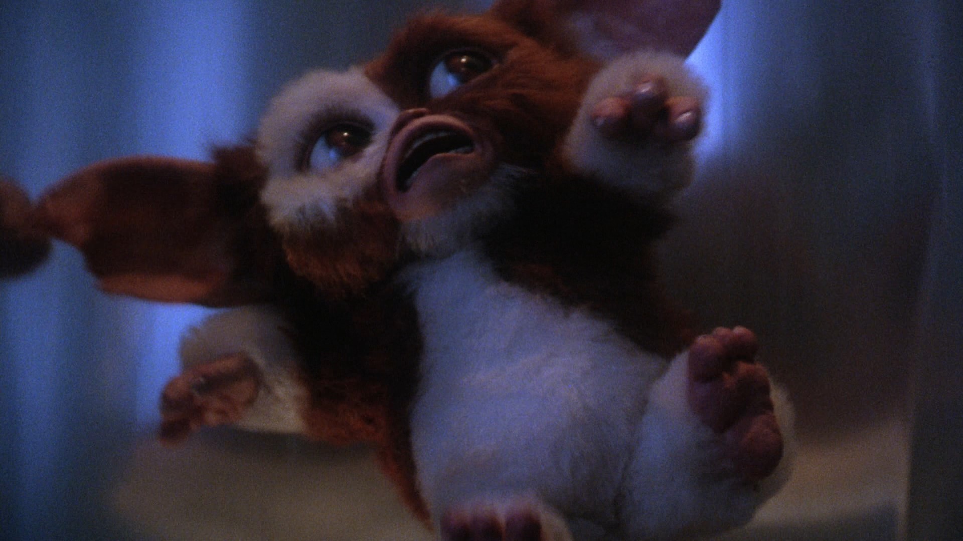 Propstore - Find Your Extraordinary