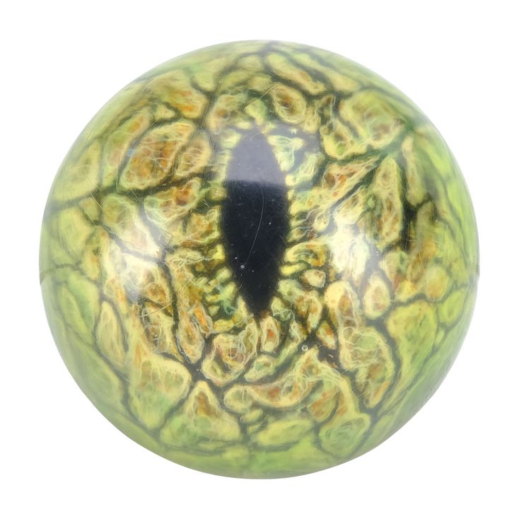 Lot 176 - Velociraptor Eye | JURASSIC PARK (1993)