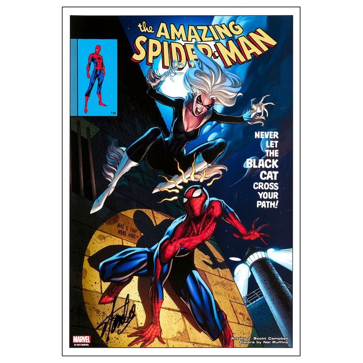 888. Creator-Autographed Matte Color Print (13 x 19 ) Signed by Stan ...