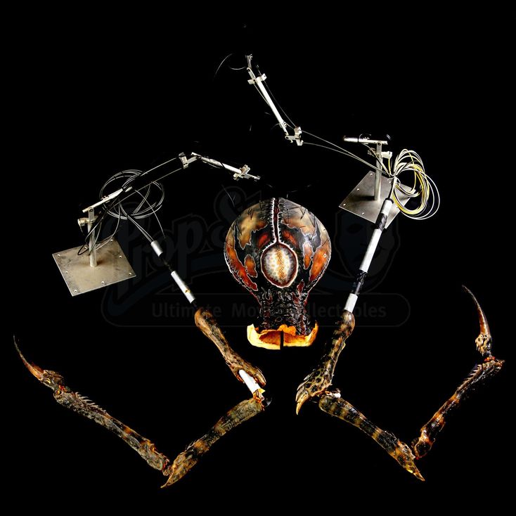 Lot 117 - Spider Gremlin Abdomen and Puppet Legs | GREMLINS 2: THE NEW ...