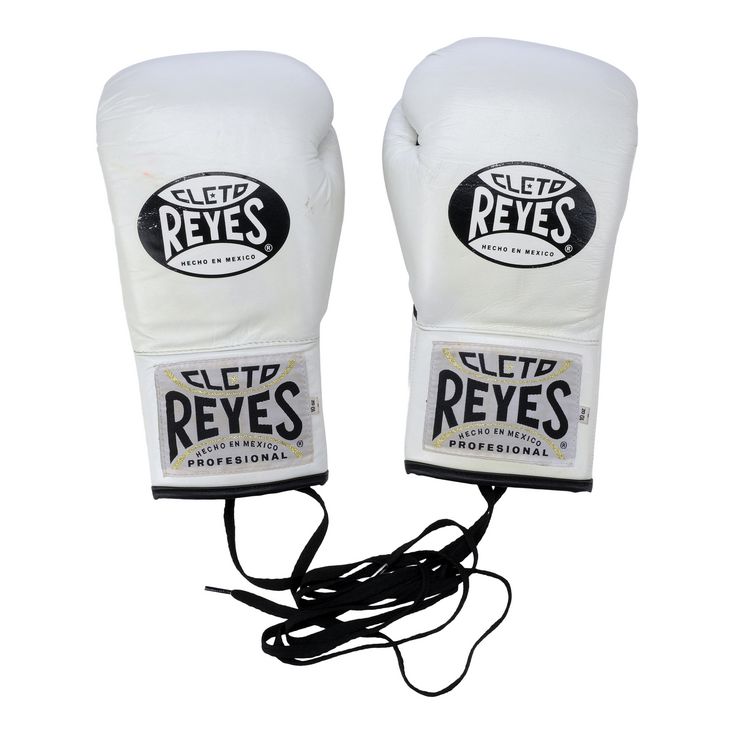 Lot 1000 - Adonis Creeds (Michael B. Jordan) Training Gloves | CREED ...