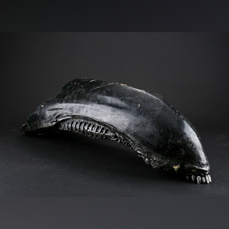 Xenomorph VFX Severed Head Component | AVP: ALIEN VS. PREDATOR (2004)