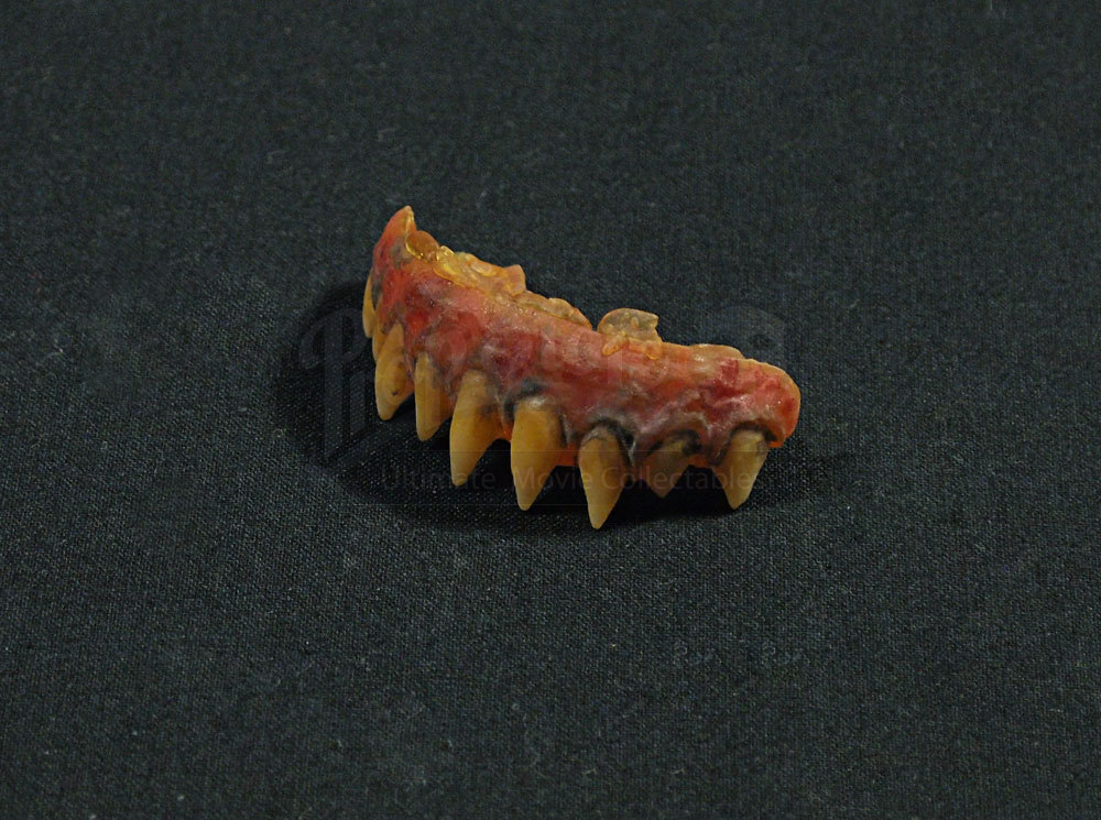 Demon Fangs | Prop Store - Ultimate Movie Collectables