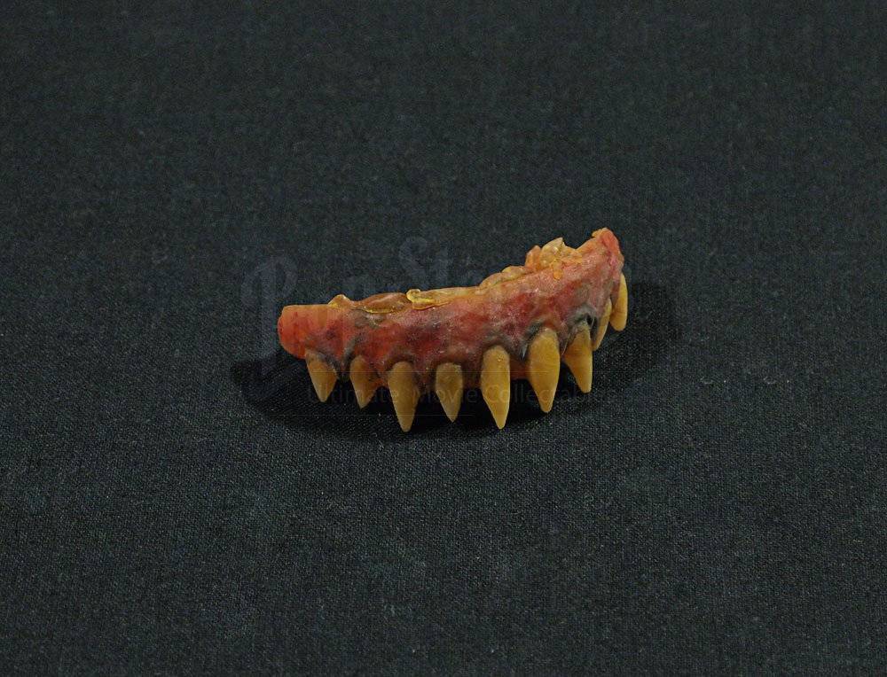 Demon Fangs | Prop Store - Ultimate Movie Collectables