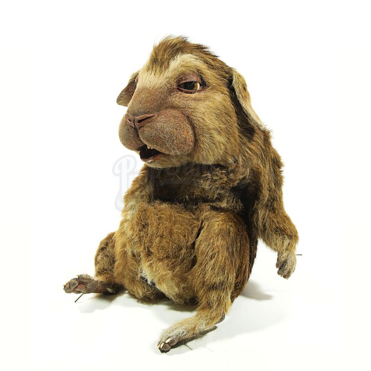 Propstore - Find Your Extraordinary