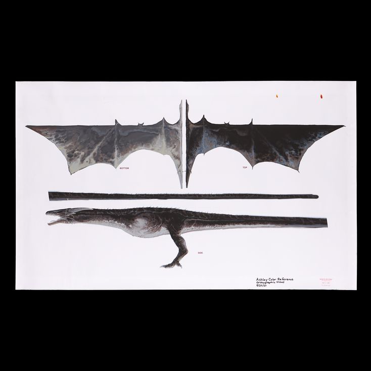 Dragon Concept Art | REIGN OF FIRE (2002)