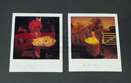 Continuity Polaroid Folder Episode GOLD | Prop Store - Ultimate Movie ...