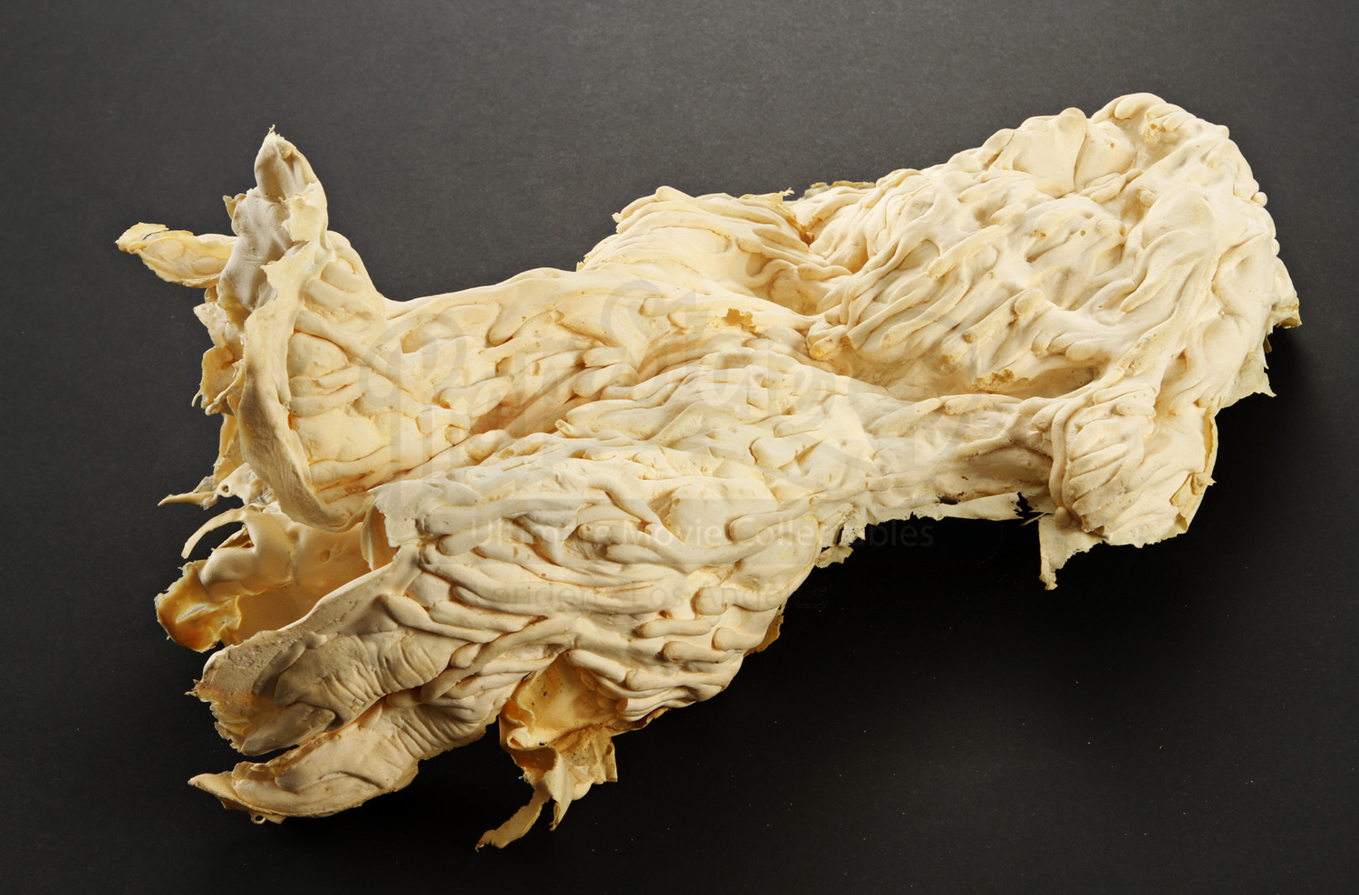 Melted Gremlin Appliance | Prop Store - Ultimate Movie Collectables