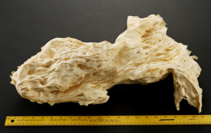 Melted Gremlin Appliance | Prop Store - Ultimate Movie Collectables