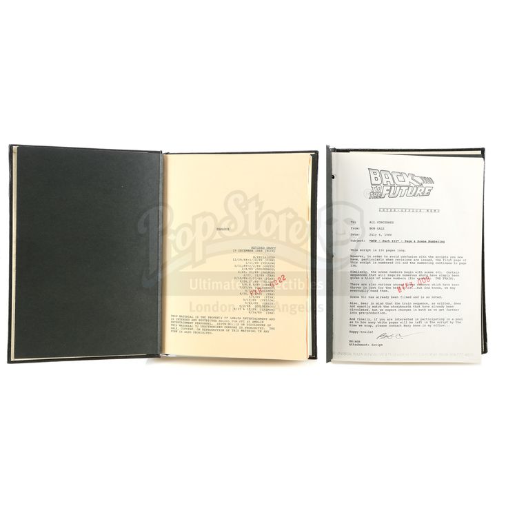 Pair of Bound Scripts | BACK TO THE FUTURE PART II (1989)