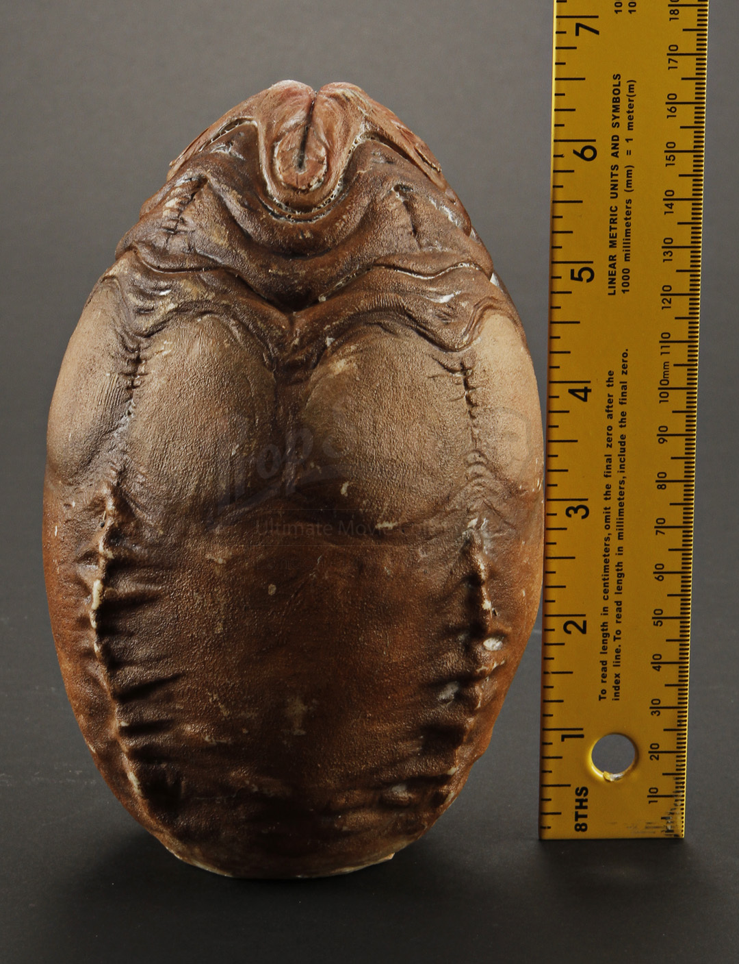 Nasa Alien Queen Laying Eggs CUSTOM QUEEN ALIEN EGG SACK DIORAMA TOY
