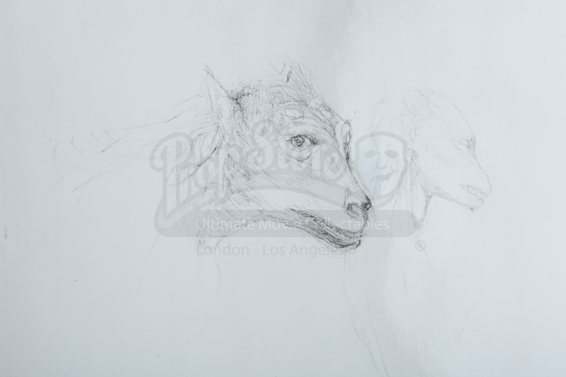 Propstore - Find Your Extraordinary