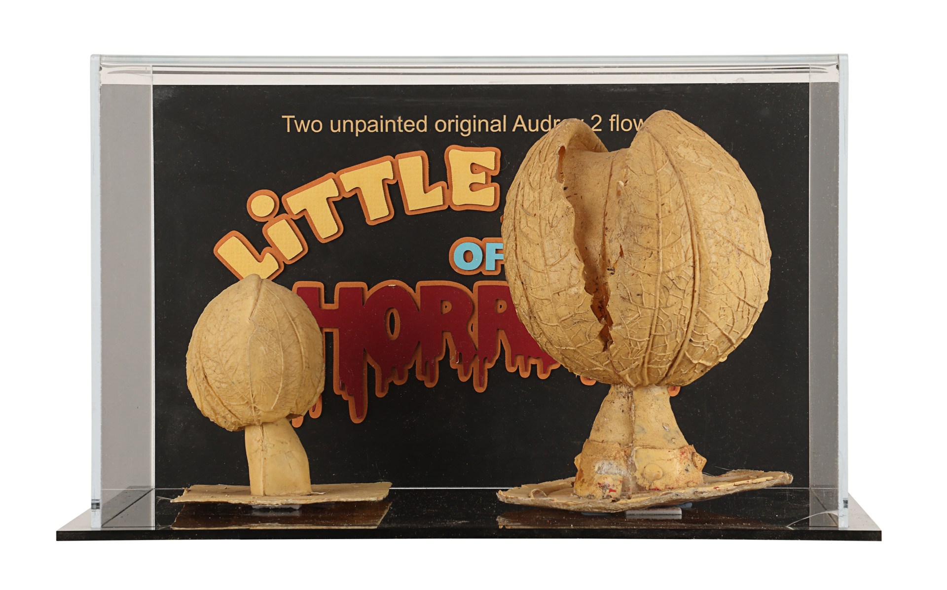 Two Unfinished Audrey II Models and Display | LITTLE SHOP OF HORRORS (1986)