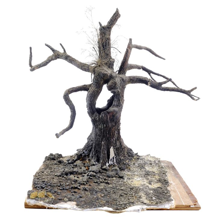 Lot 118 - Doug Beswick Collection Lindas (Denise Bixler) Burial Site ...