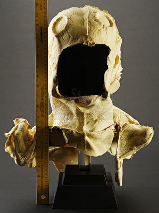 Unfinished Archduke Sebassis (Leland Crooke) Cowl | Prop Store ...