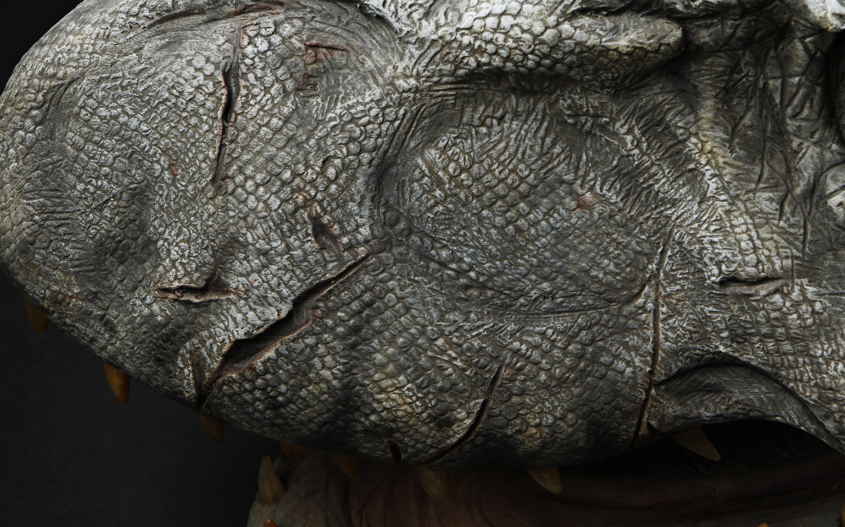 SFX Dinoshark Head | Prop Store - Ultimate Movie Collectables
