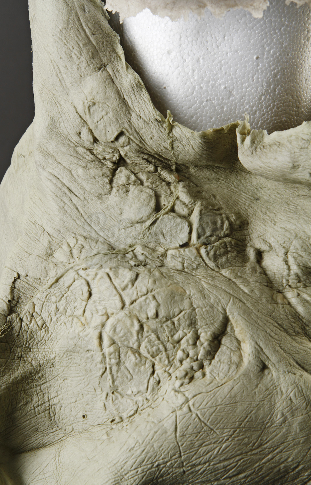 Set of Unfinished Matthew Buckner (Dan Payne) Zombie Appliances | Prop ...