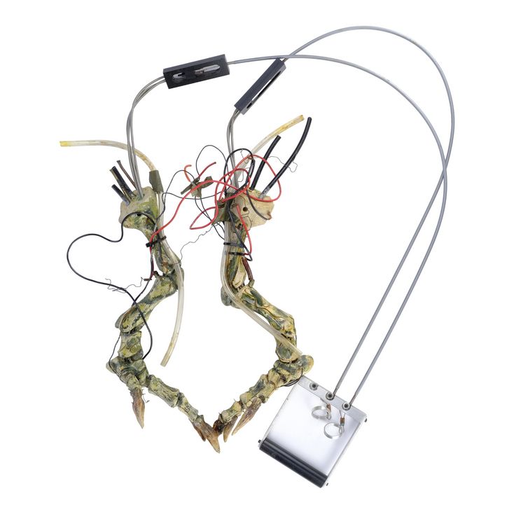 Lot 645 - Mechanical Gremlin Skeleton Legs | GREMLINS 2: THE NEW BATCH ...