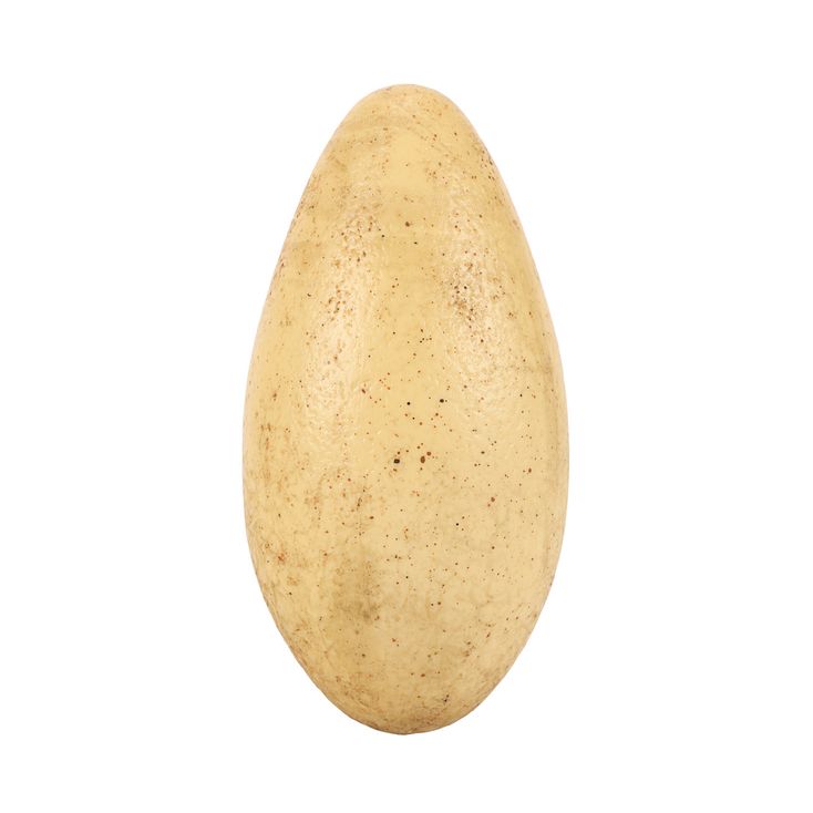 Lot #1324: JURASSIC PARK III (2001) - Raptor Egg
