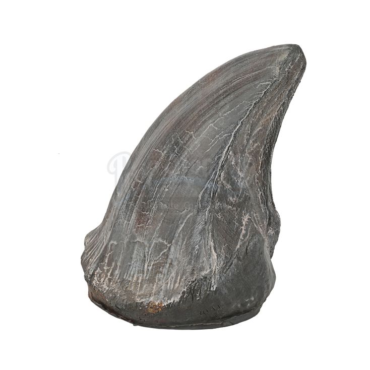 Photo-matched T-Rex Foot Claw | JURASSIC PARK (1993)