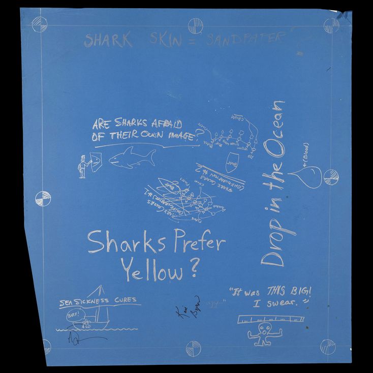 Lot 70 Sharks Like Yellow Blueprint Signed by Adam Savage and Kari ...