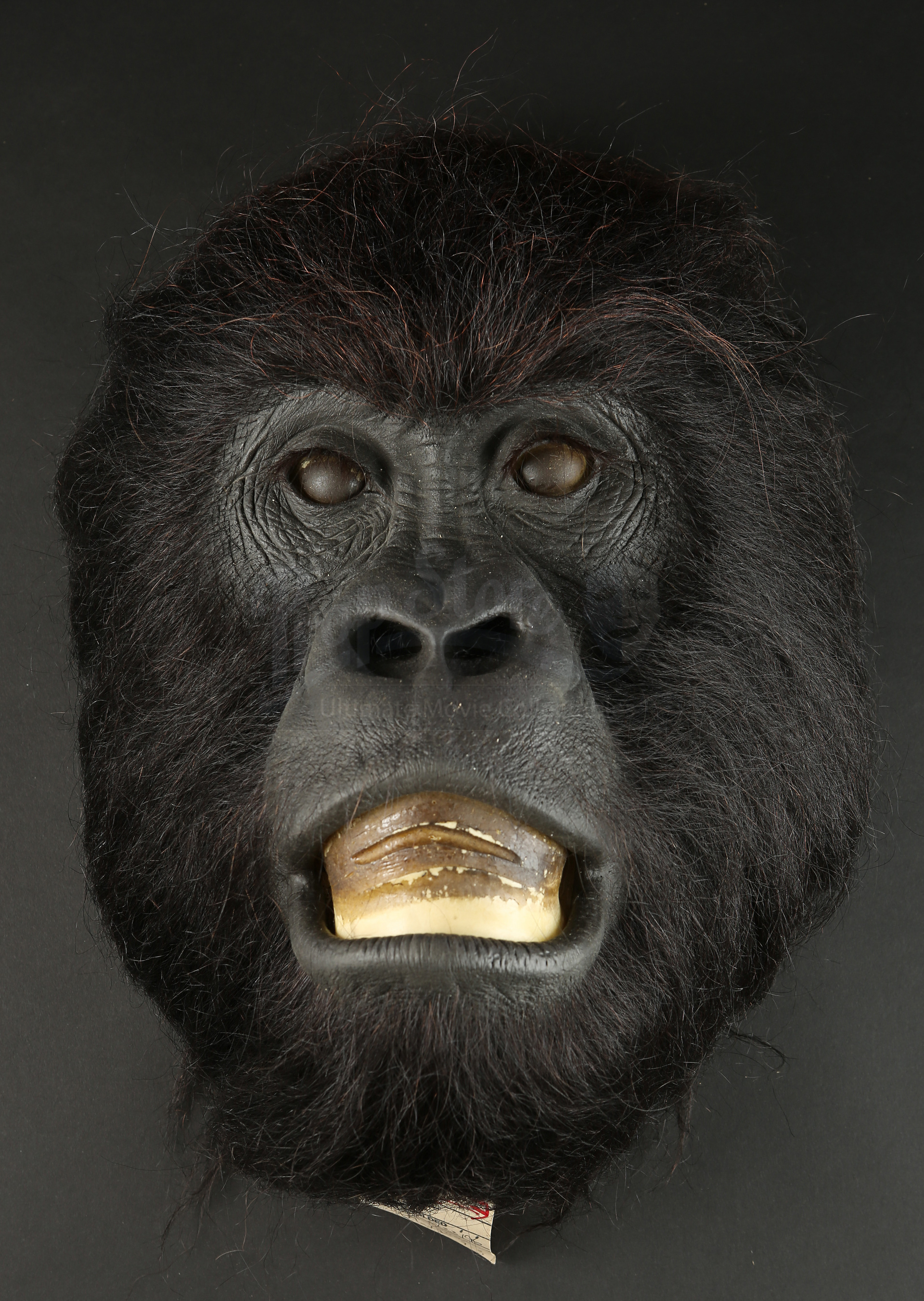 Propstore - Find Your Extraordinary