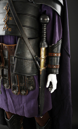 Praetorian Guard Costume, Gladius and Shield | Prop Store - Ultimate ...