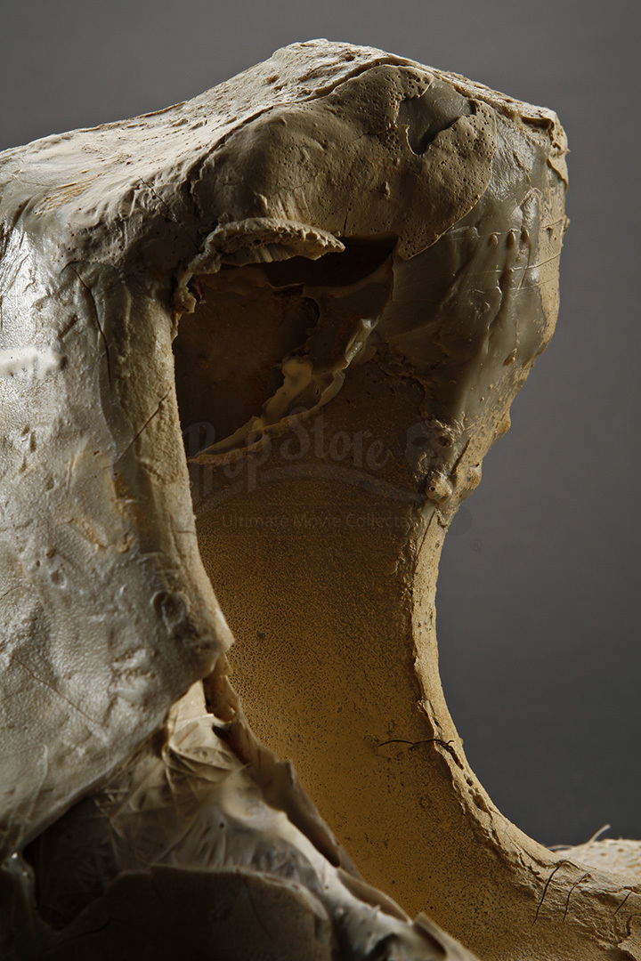 Large Krayt Dragon Skeleton Vertebrae | Prop Store - Ultimate Movie ...
