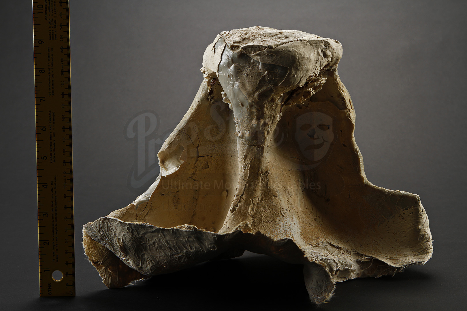 Large Krayt Dragon Skeleton Vertebrae | Prop Store - Ultimate Movie ...
