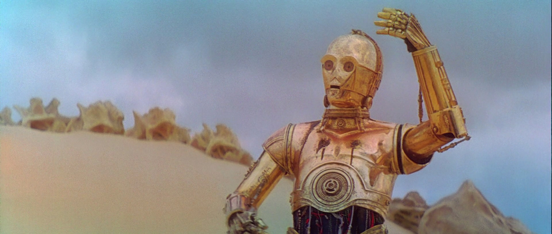 Large Krayt Dragon Skeleton Vertebrae | Prop Store - Ultimate Movie ...