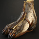 Classic Predator Foot | Prop Store - Ultimate Movie Collectables