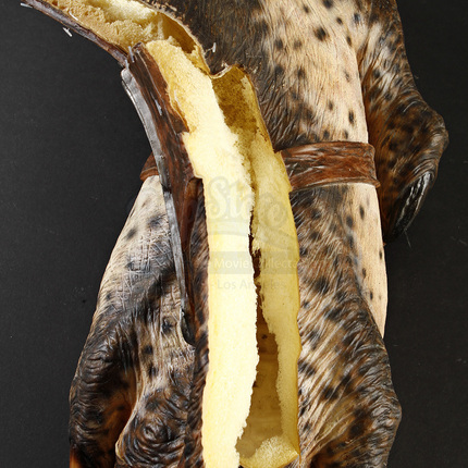 Classic Predator Foot | Prop Store - Ultimate Movie Collectables