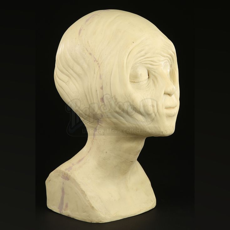 Alien Reference Head | COCOON (1985)