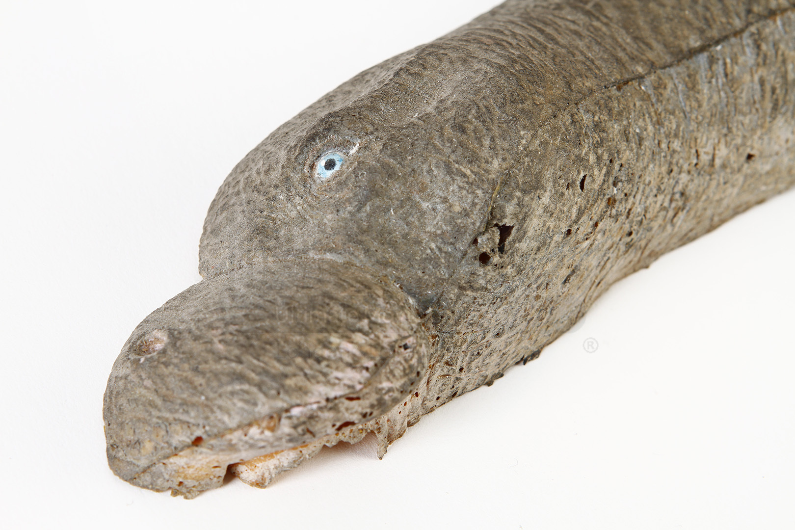 Bisected Orky Test Paint Model | Prop Store - Ultimate Movie Collectables