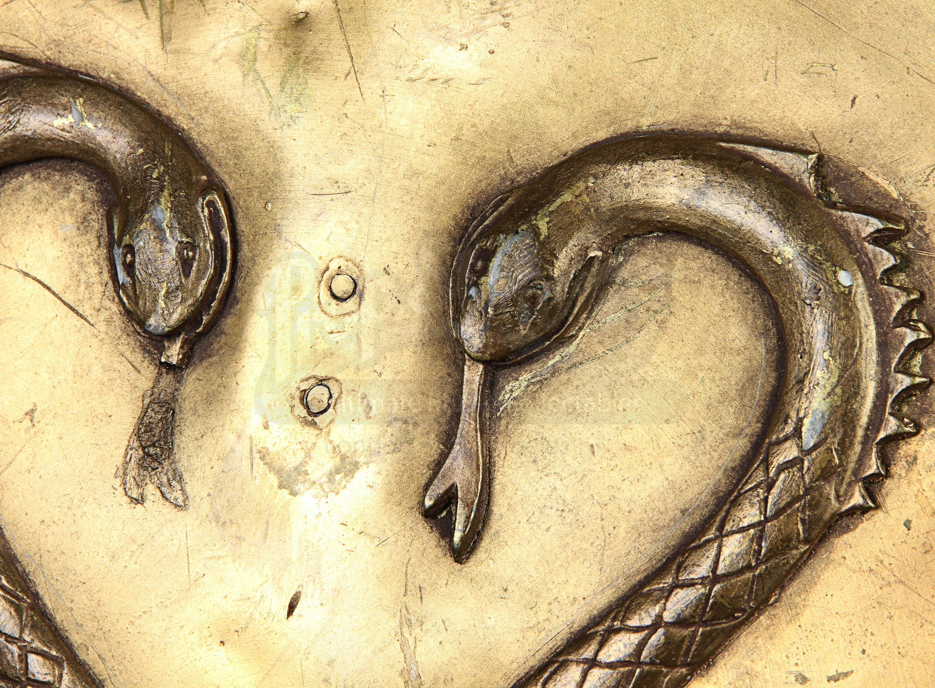 Honour Guard Snake Shield | Prop Store - Ultimate Movie Collectables