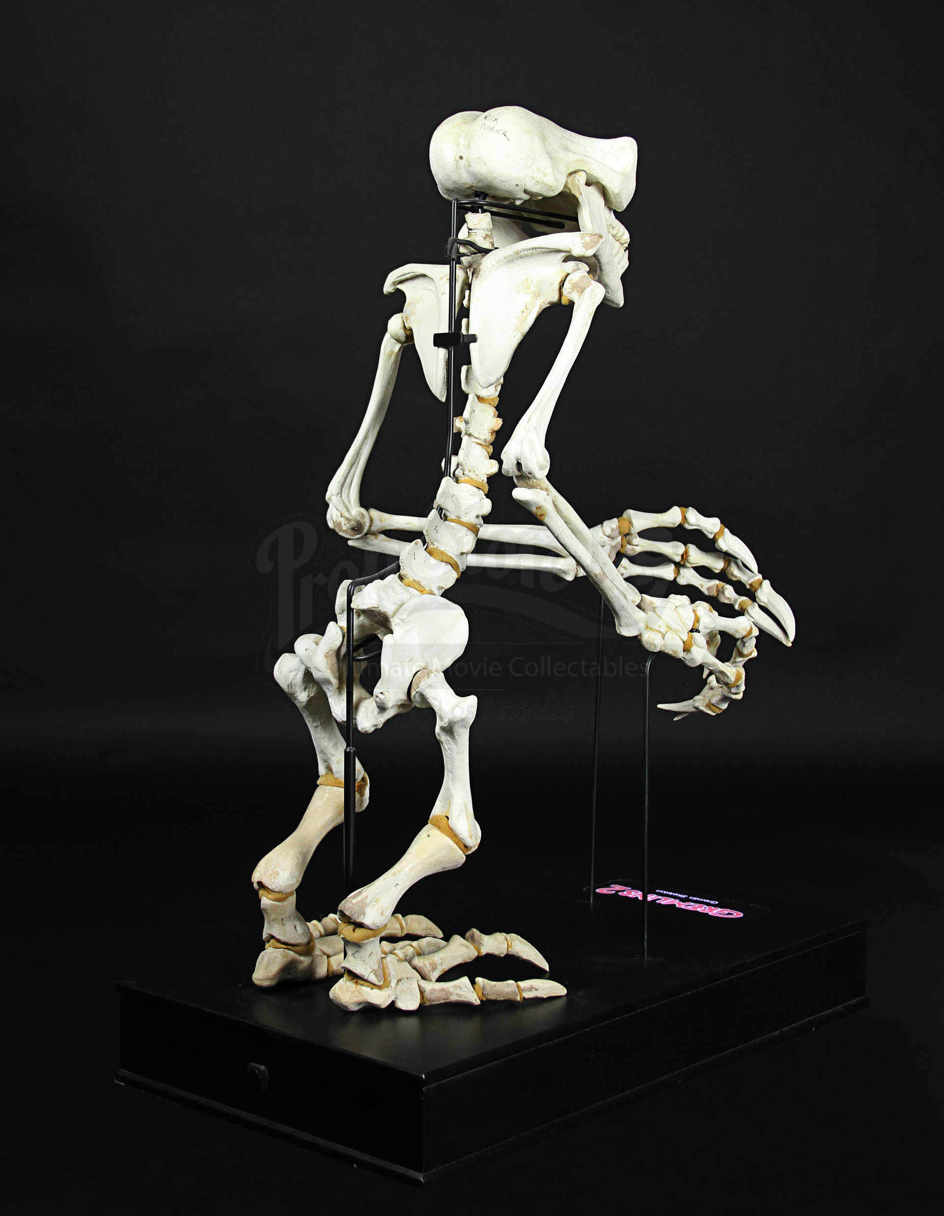 Full-Size Gremlin Skeleton | Prop Store - Ultimate Movie Collectables