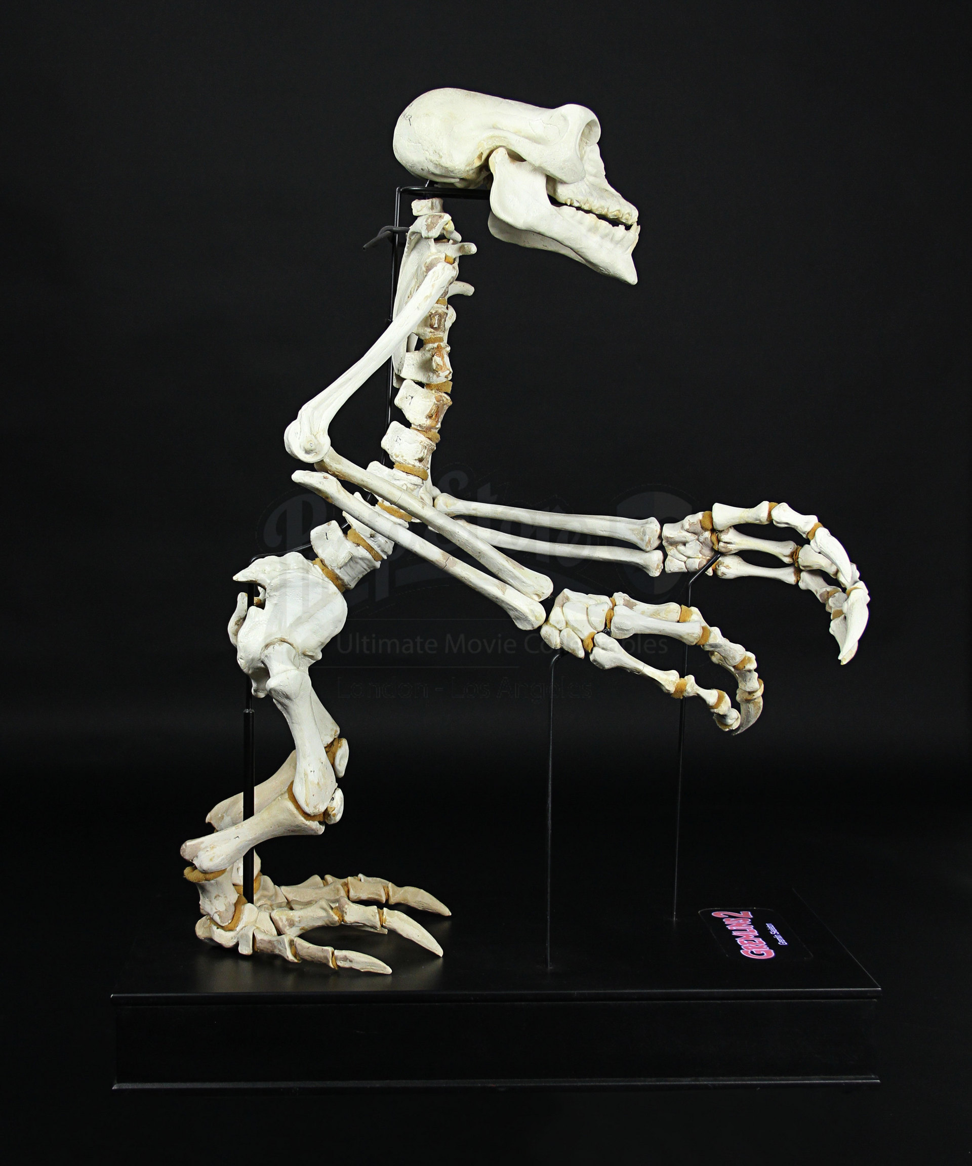Full-Size Gremlin Skeleton | Prop Store - Ultimate Movie Collectables