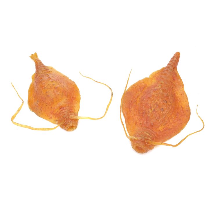 Lot 709 - Pair of Genesis Planet Microorganisms | STAR TREK III: THE ...