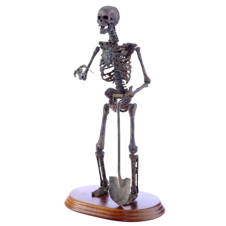 Lot 260 - Doug Beswick Collection Freddy Kruegers (Robert Englund) Stop ...