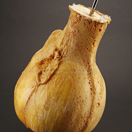 Alien Head Raw Casting | Prop Store - Ultimate Movie Collectables