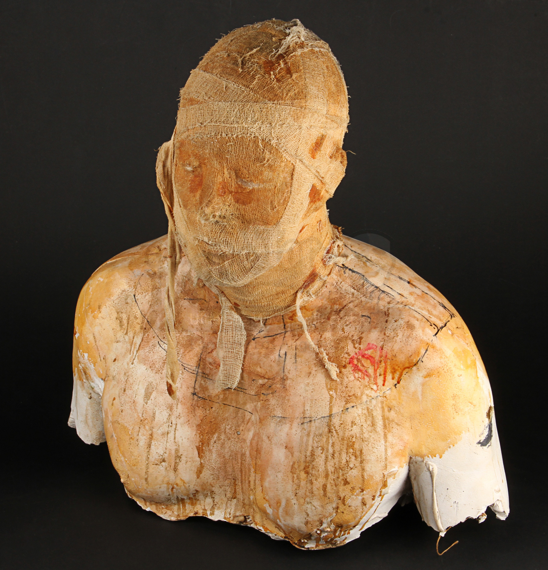 Imhotep The Mummy High Priest Imhotep Image 10542603